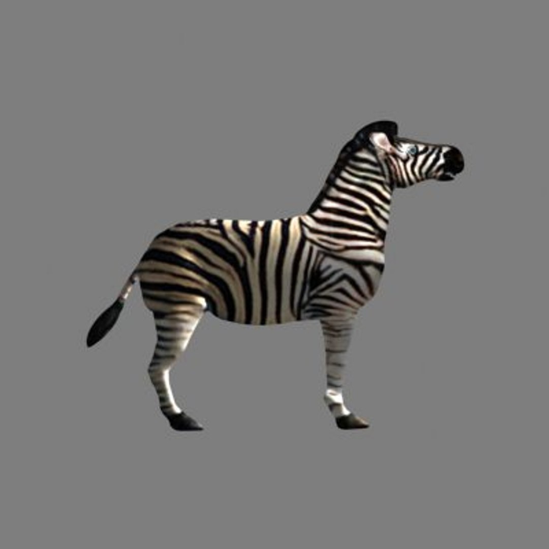 Zebra Max