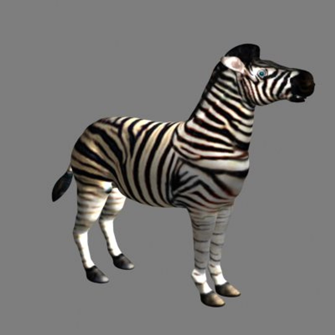 Zebra Max