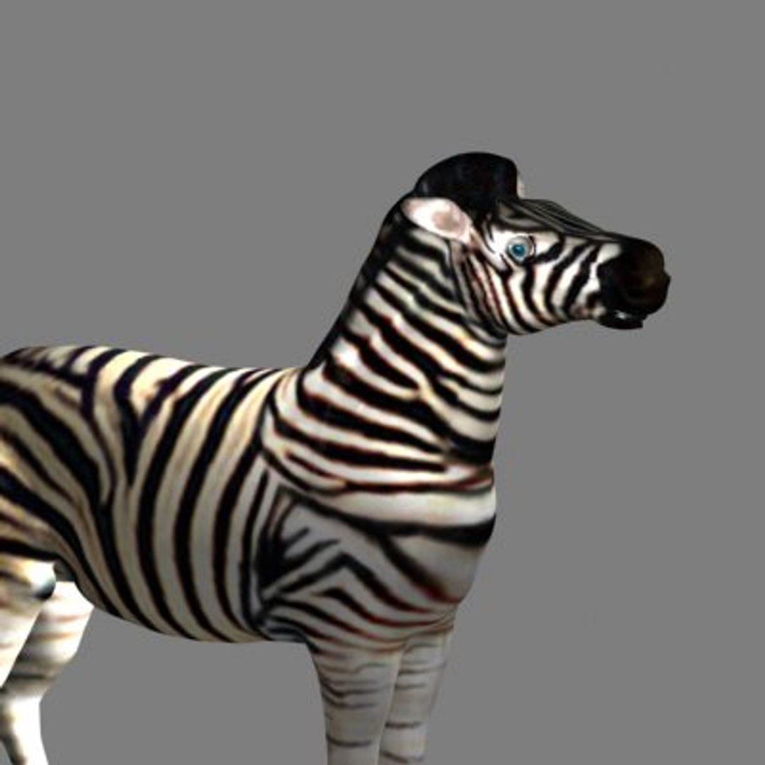 Zebra Max