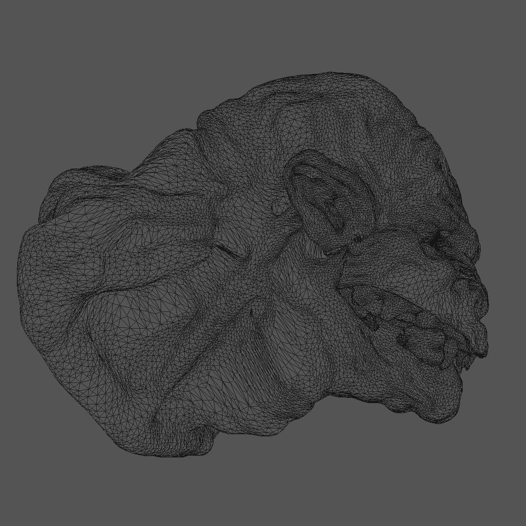 3d Sculptris Zbrush Model