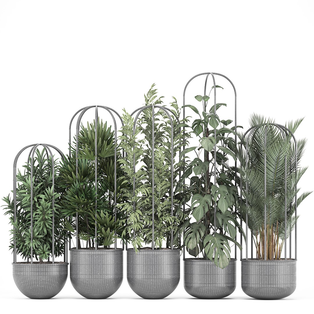 Ornamental Plants Exotic Model - TurboSquid 1417918