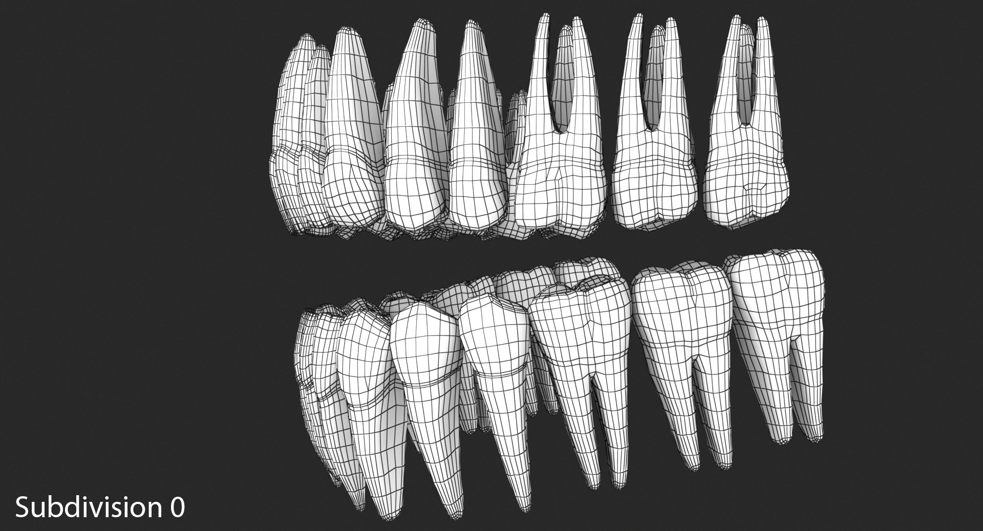 Human Teeth Modeled 3d Max