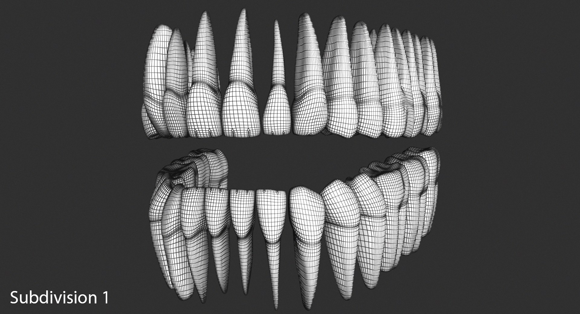 Human Teeth Modeled 3d Max