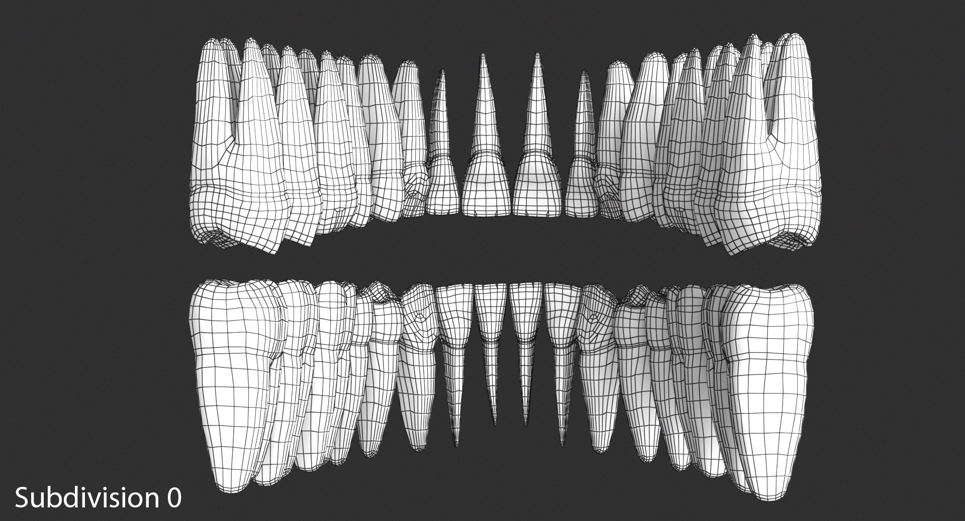 Human Teeth Modeled 3d Max