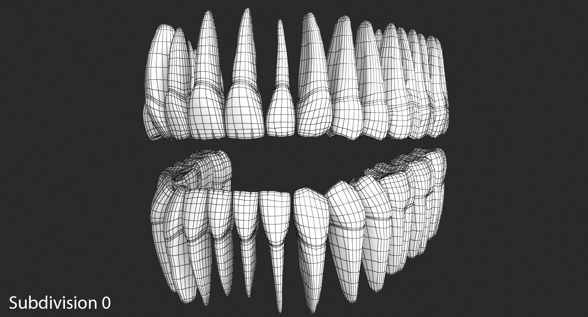 Human Teeth Modeled 3d Max