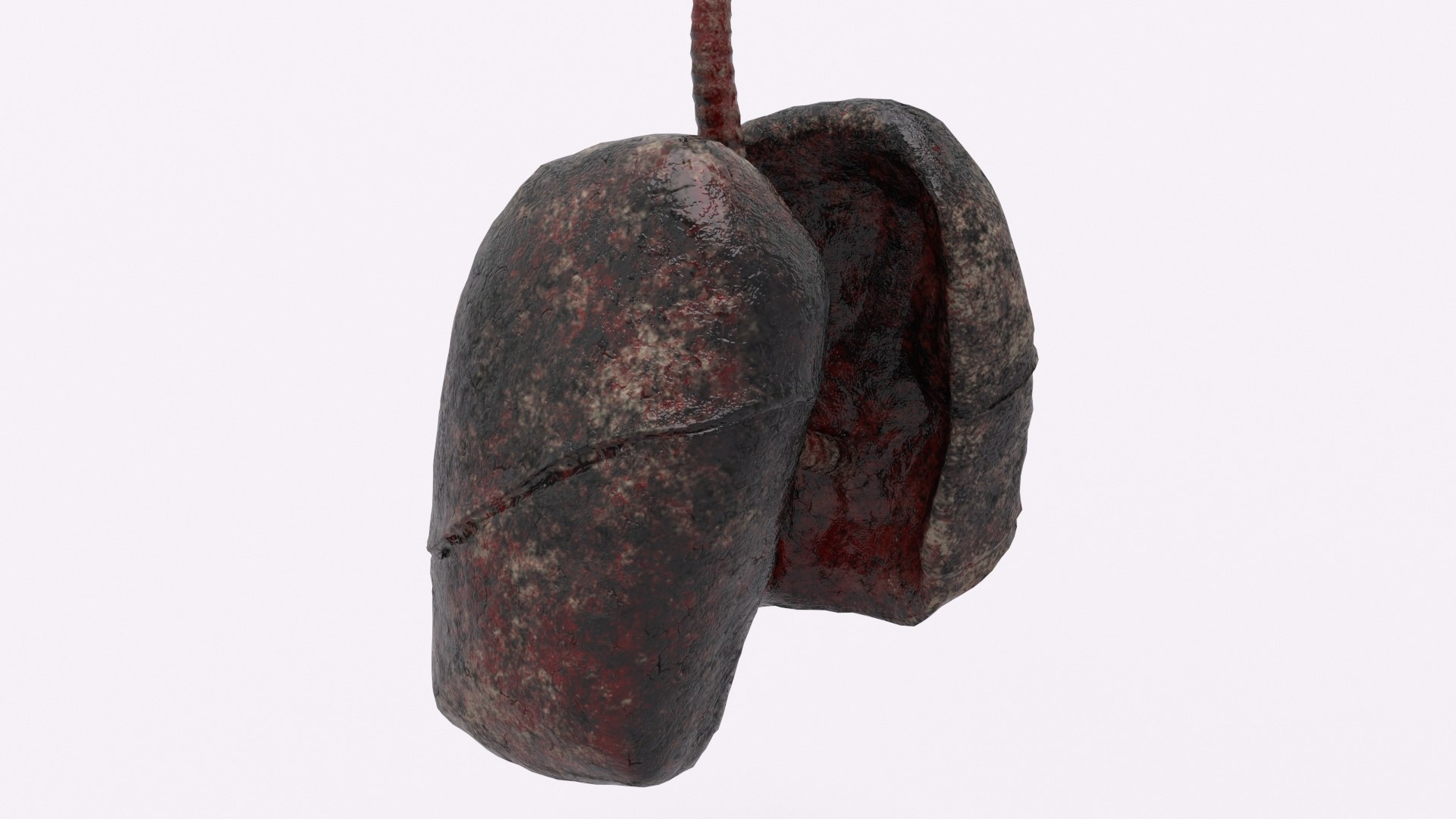 Smoker Human Lungs 3D Model - TurboSquid 1852095