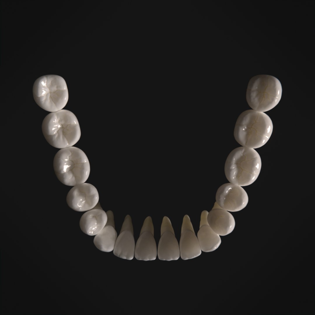 Human Teeth Model - TurboSquid 1270731