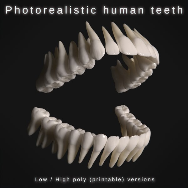 realistic teeth gums tongue max