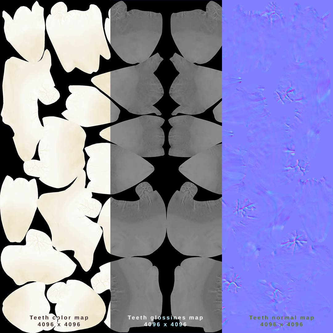 Human teeth model - TurboSquid 1270731