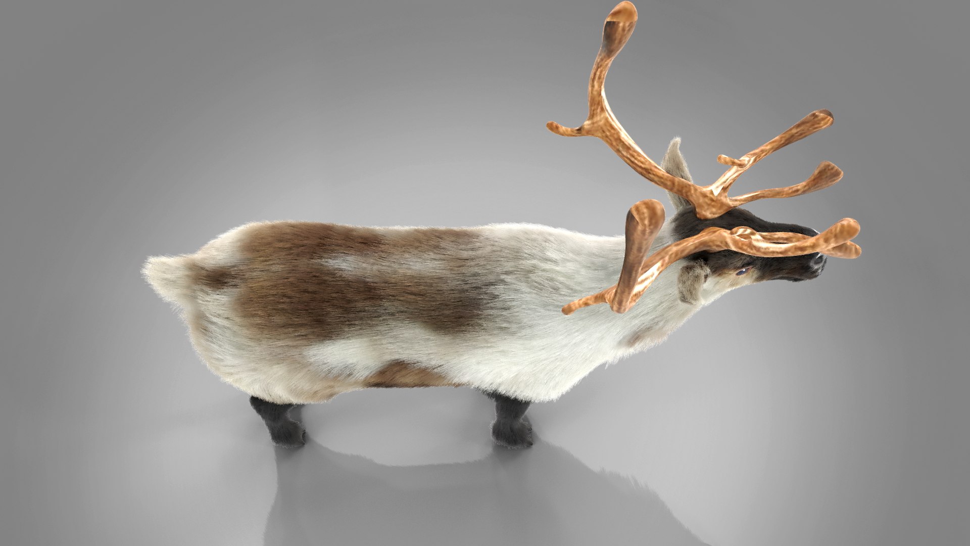 Fur Reindeer NO Rig Model - TurboSquid 1740468