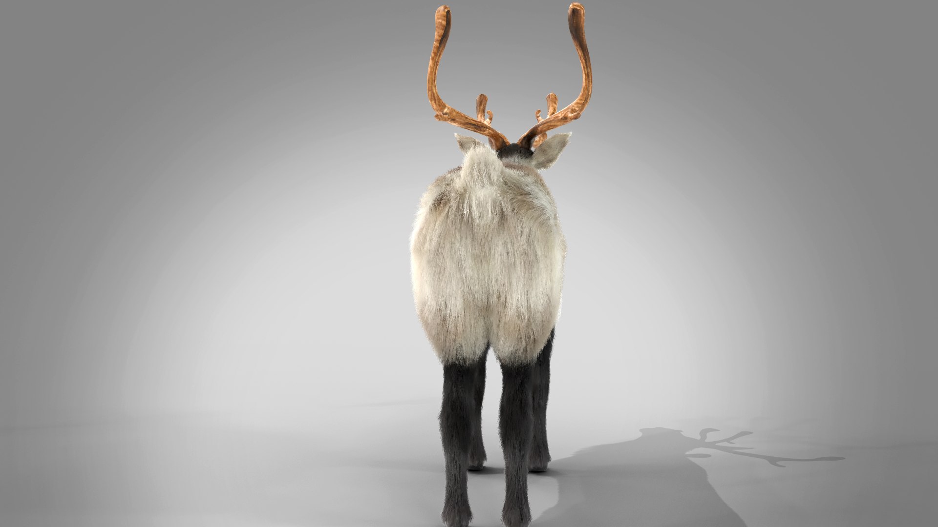 Fur Reindeer NO Rig Model - TurboSquid 1740468