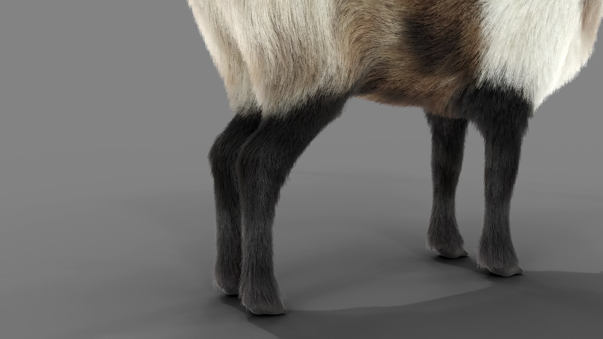 Fur Reindeer NO Rig Model - TurboSquid 1740468