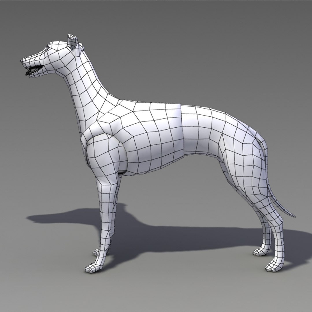 Greyhound Dogs 3d Model