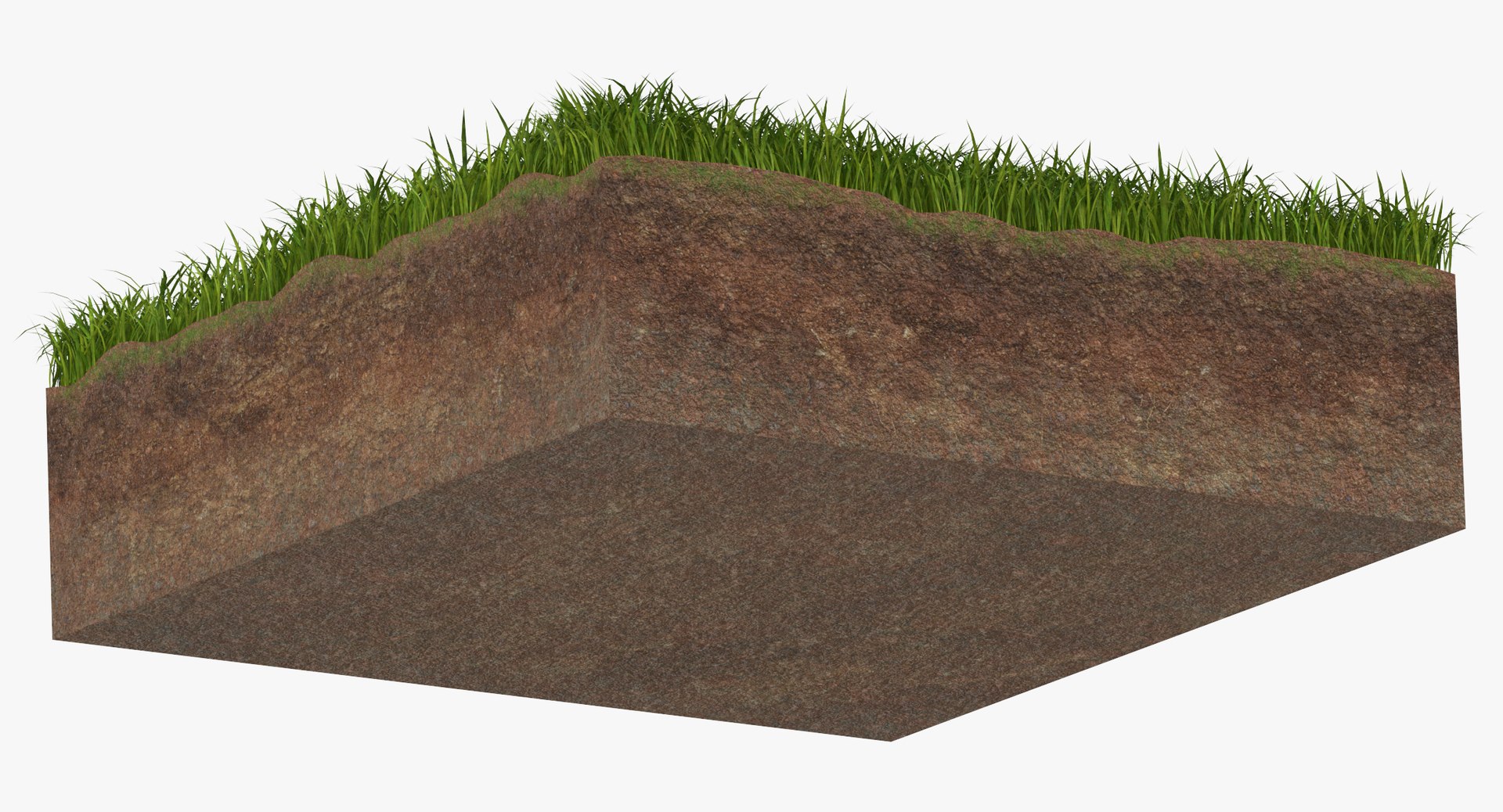 Grass Cross Section 02 Model - TurboSquid 1328729