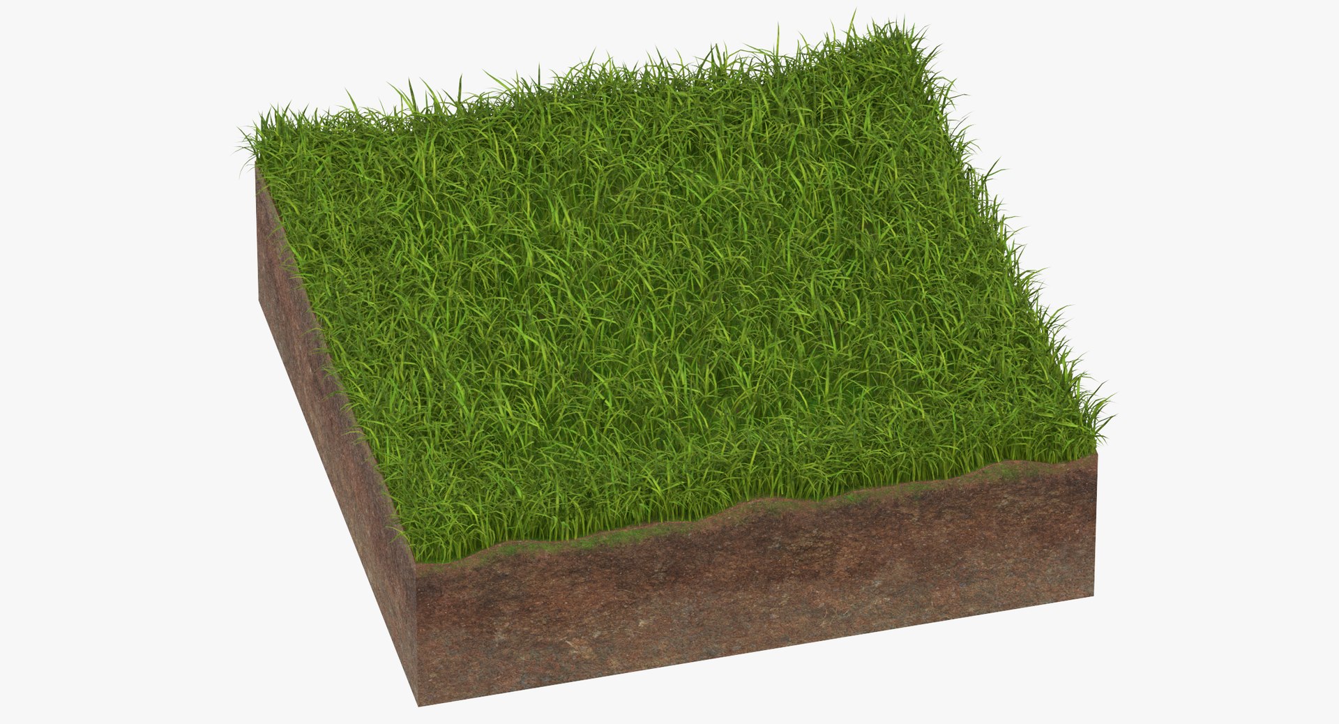 Grass Cross Section 02 Model - TurboSquid 1328729