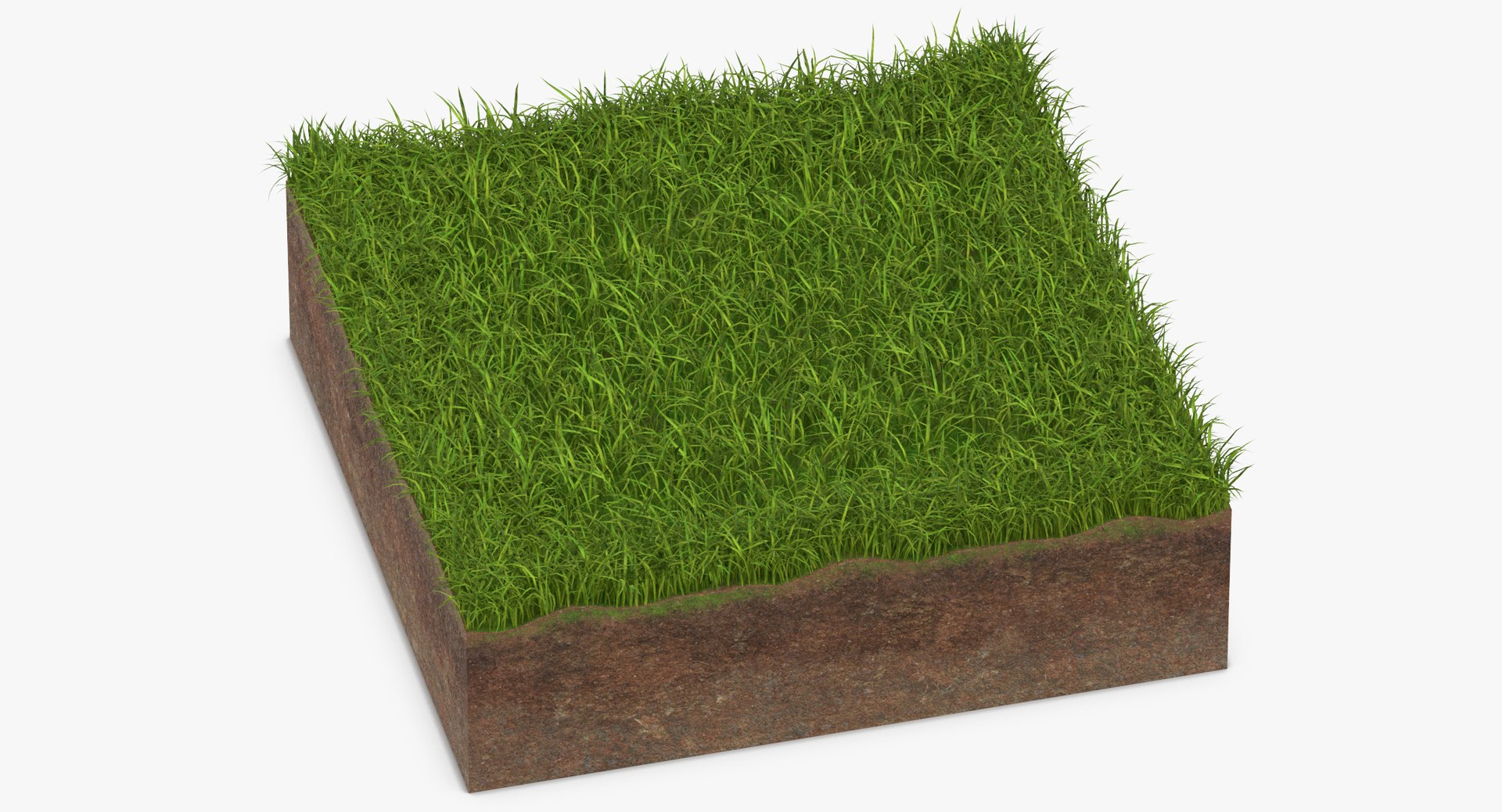 Grass Cross Section 02 Model - TurboSquid 1328729