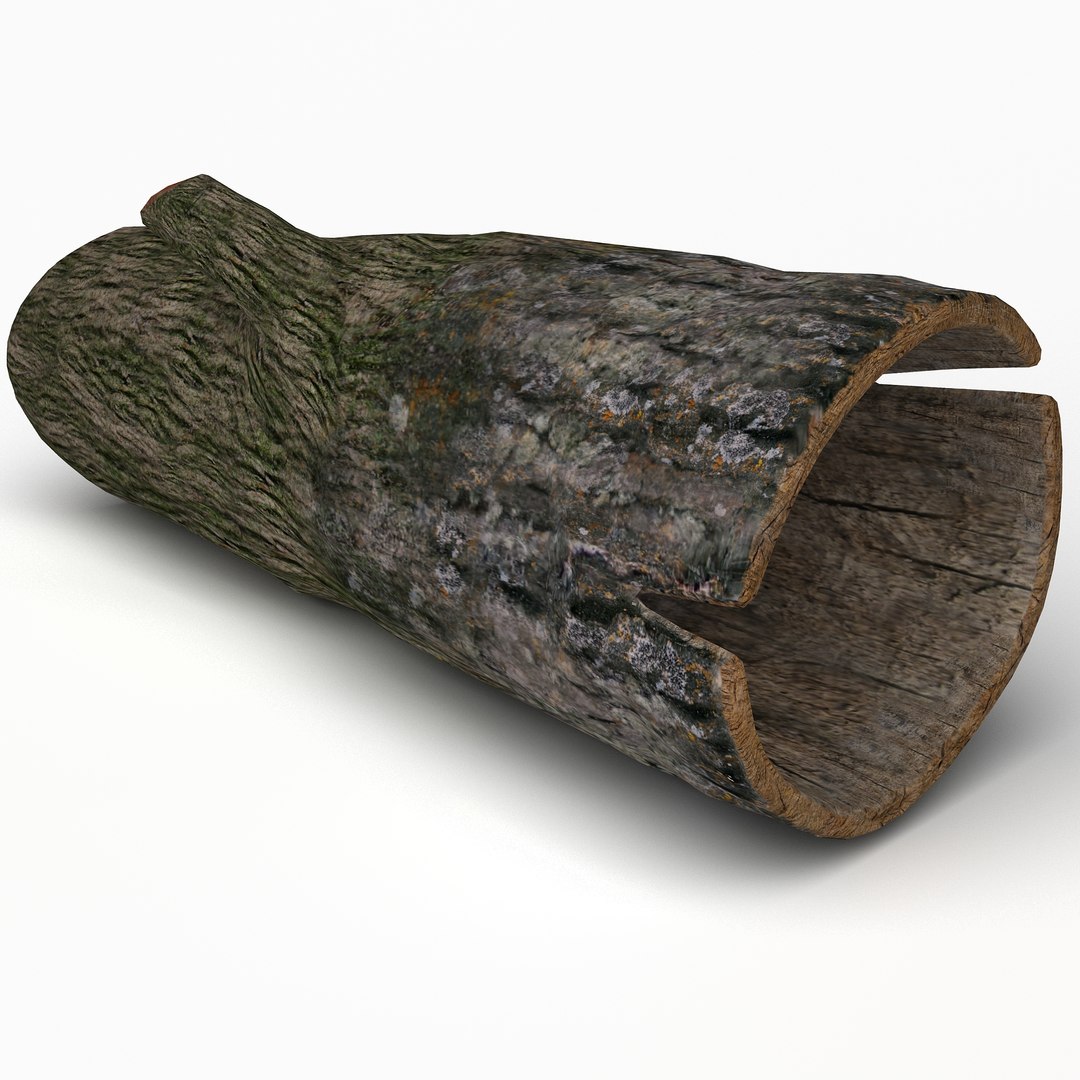 Log 3d Model