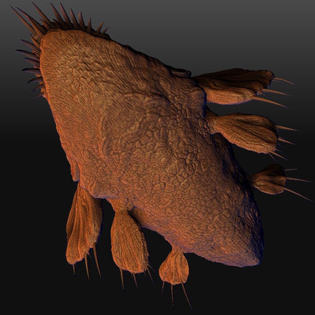 3d Deep Sea Angler Fish Model