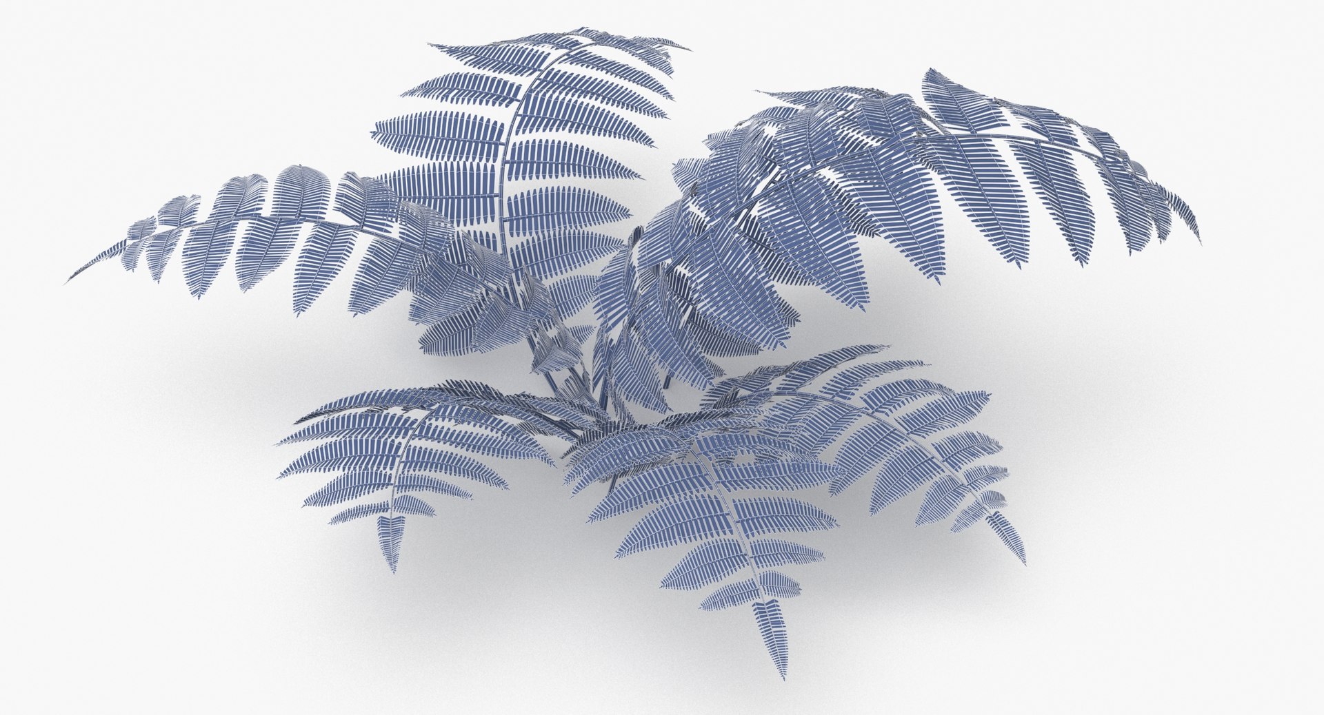 3D Fern Bush - TurboSquid 1872348