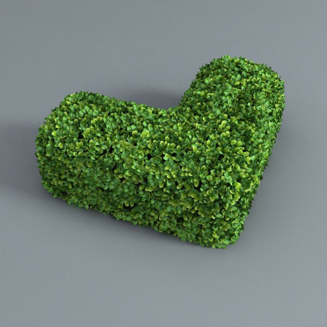 Plant Bush 3d Model