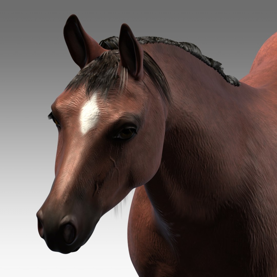 cinema4d ged horse animation poses