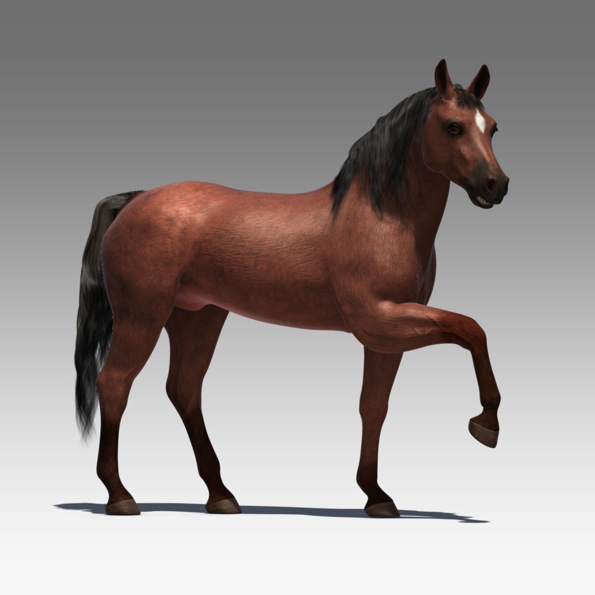 cinema4d ged horse animation poses