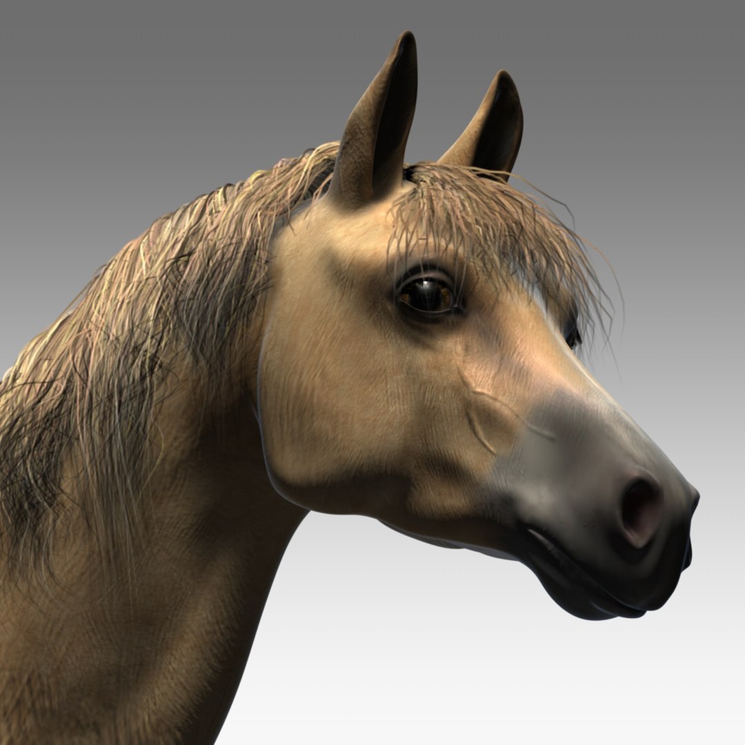 cinema4d ged horse animation poses