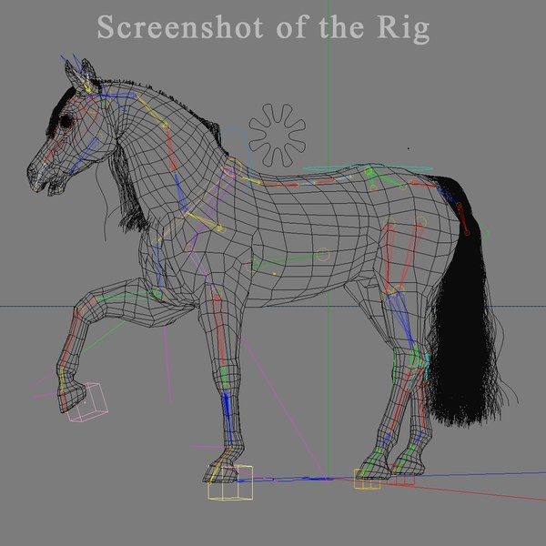 cinema4d ged horse animation poses