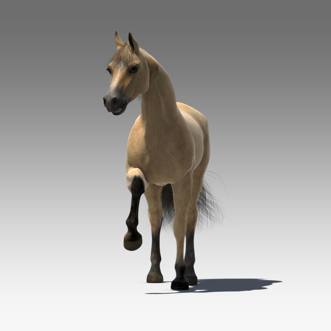 cinema4d ged horse animation poses