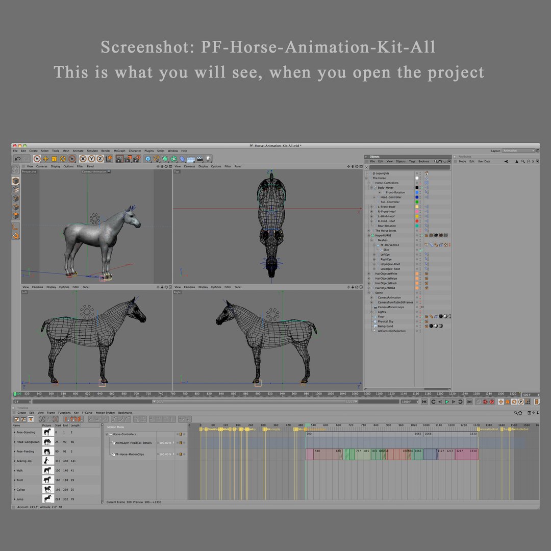 cinema4d ged horse animation poses