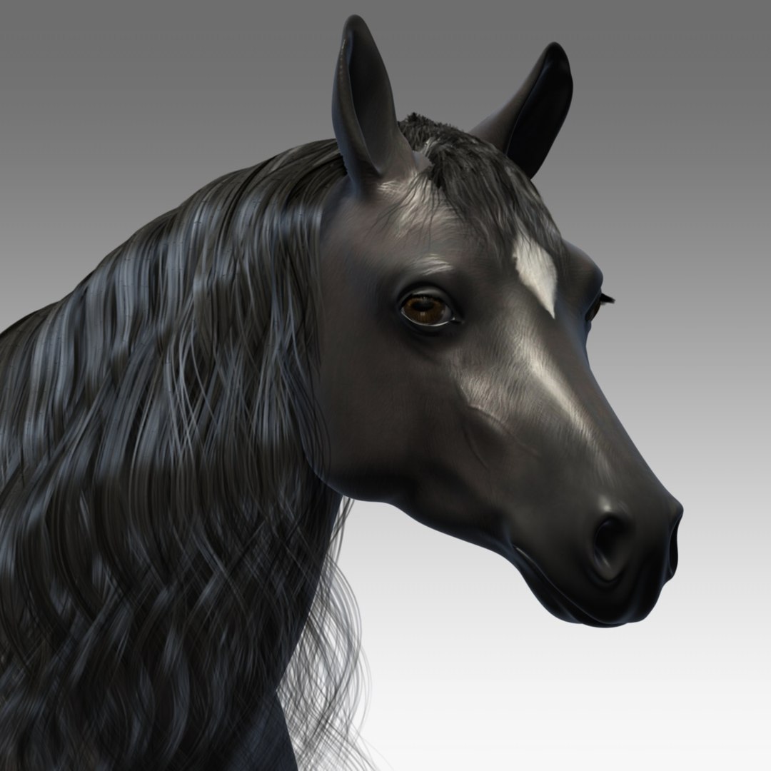 cinema4d ged horse animation poses