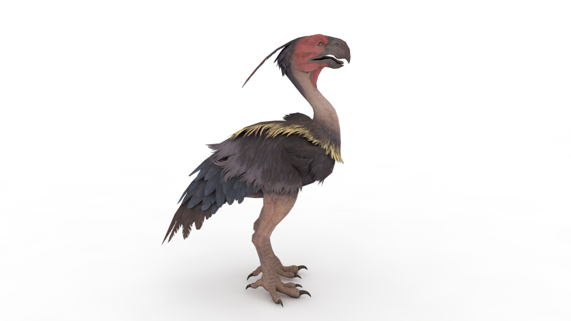 Terror Bird 3D - TurboSquid 1955466