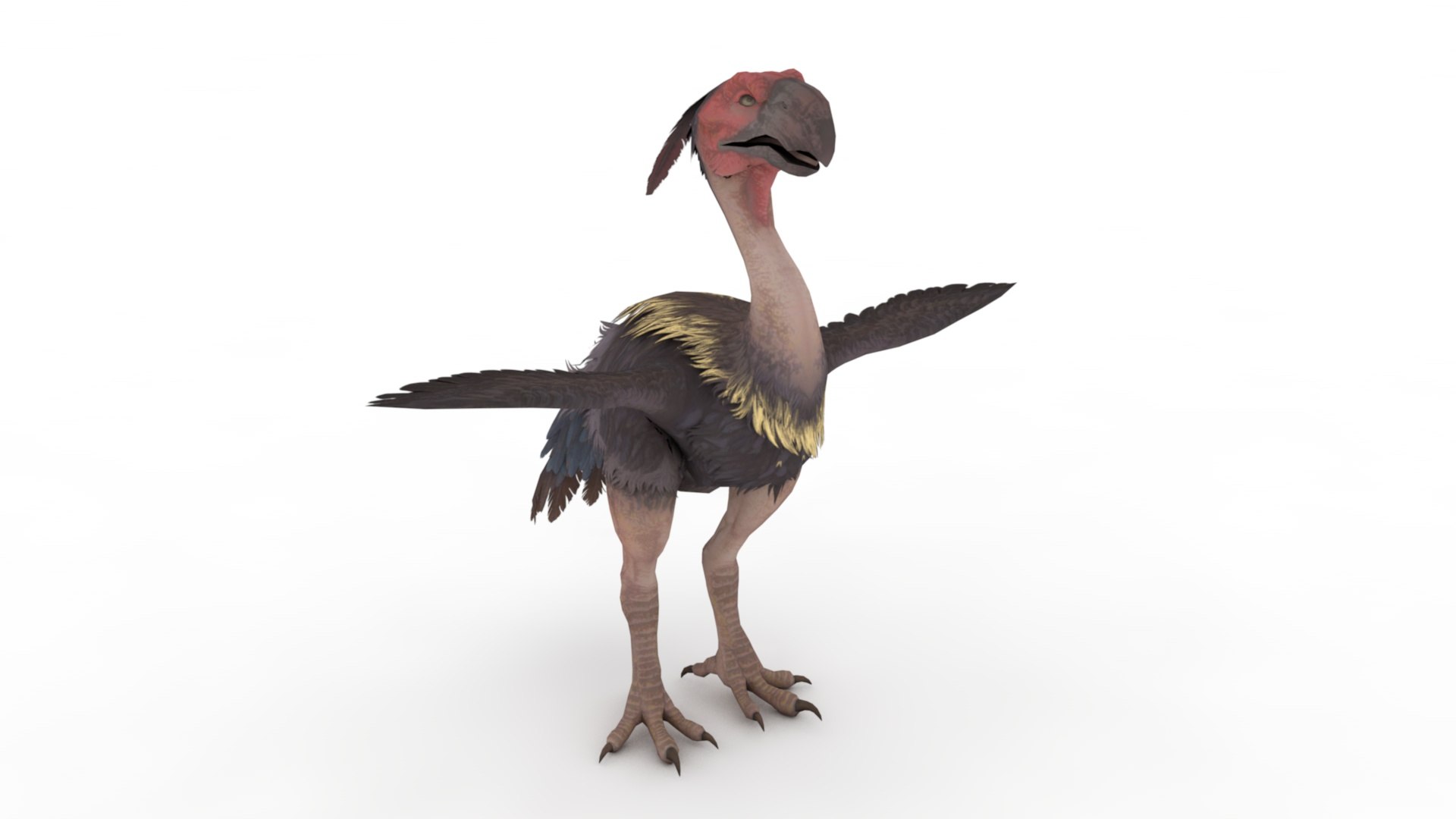 Terror Bird 3D - TurboSquid 1955466