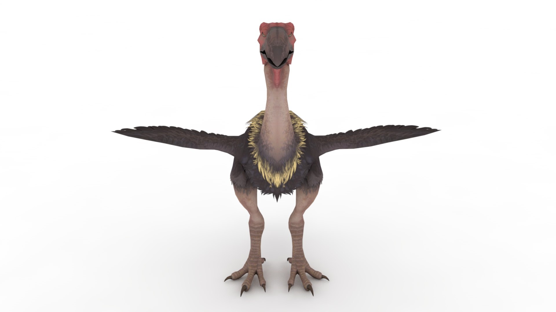 Terror Bird 3D - TurboSquid 1955466