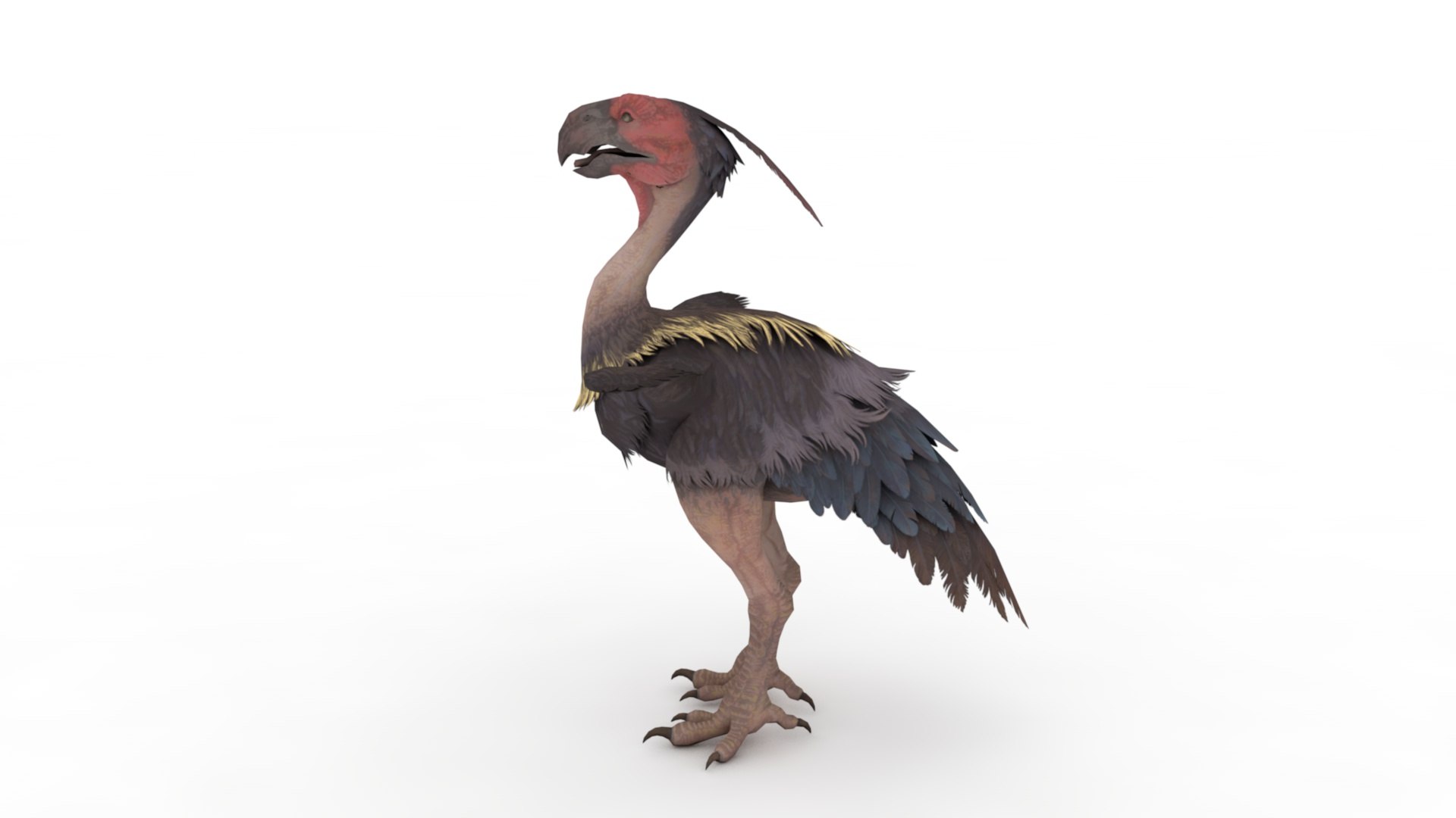 Terror Bird 3D - TurboSquid 1955466
