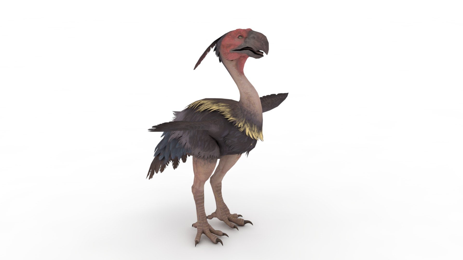 Terror Bird 3D - TurboSquid 1955466