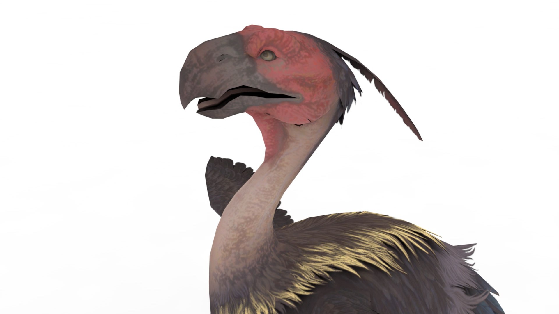Terror Bird 3D - TurboSquid 1955466