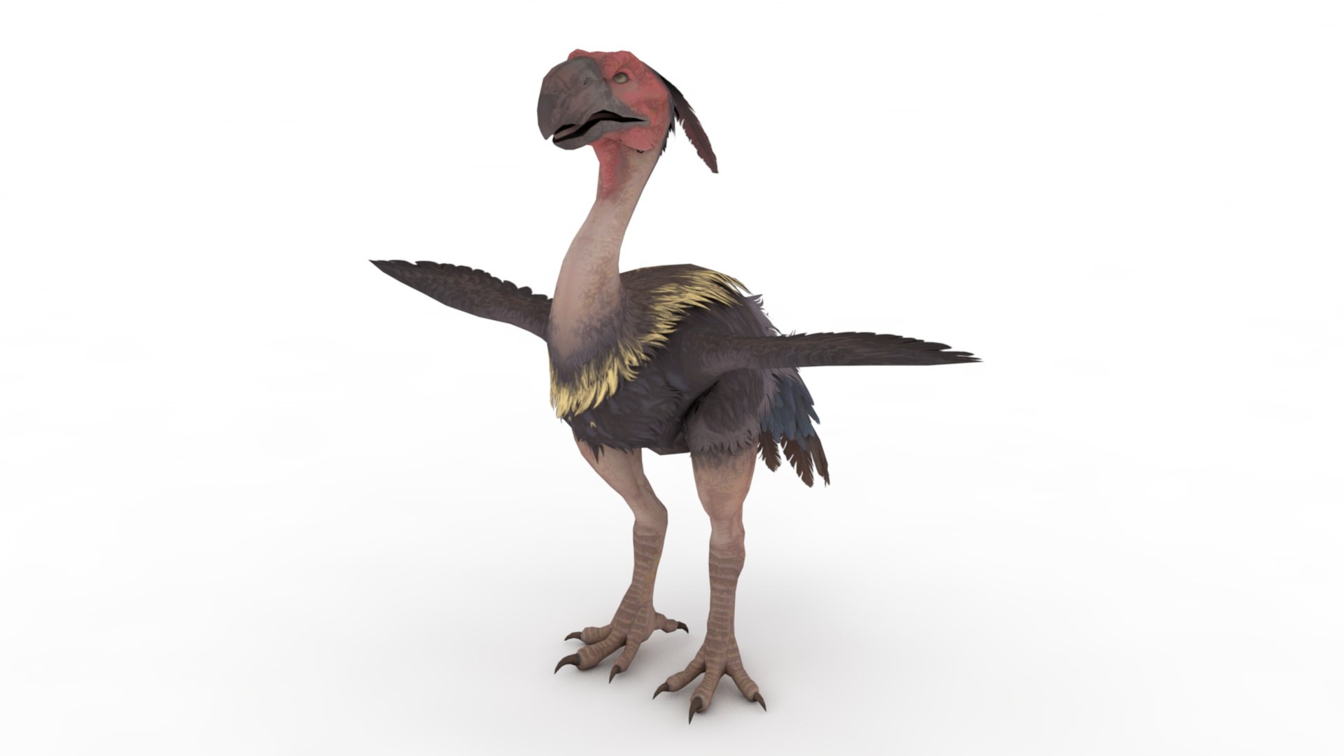 Terror Bird 3D - TurboSquid 1955466