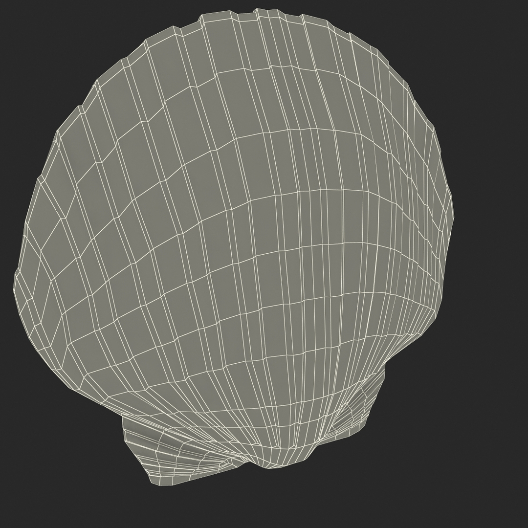 Clam Seashell 2 3d Max