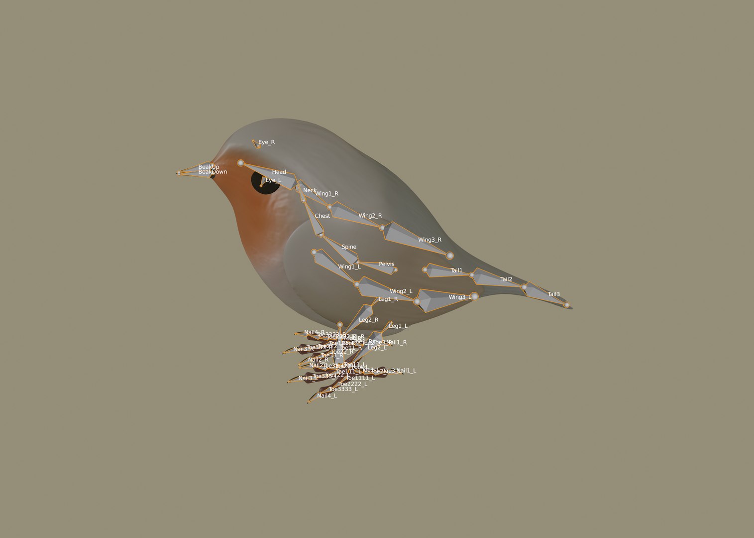 3D colors european robin bird - TurboSquid 1663244
