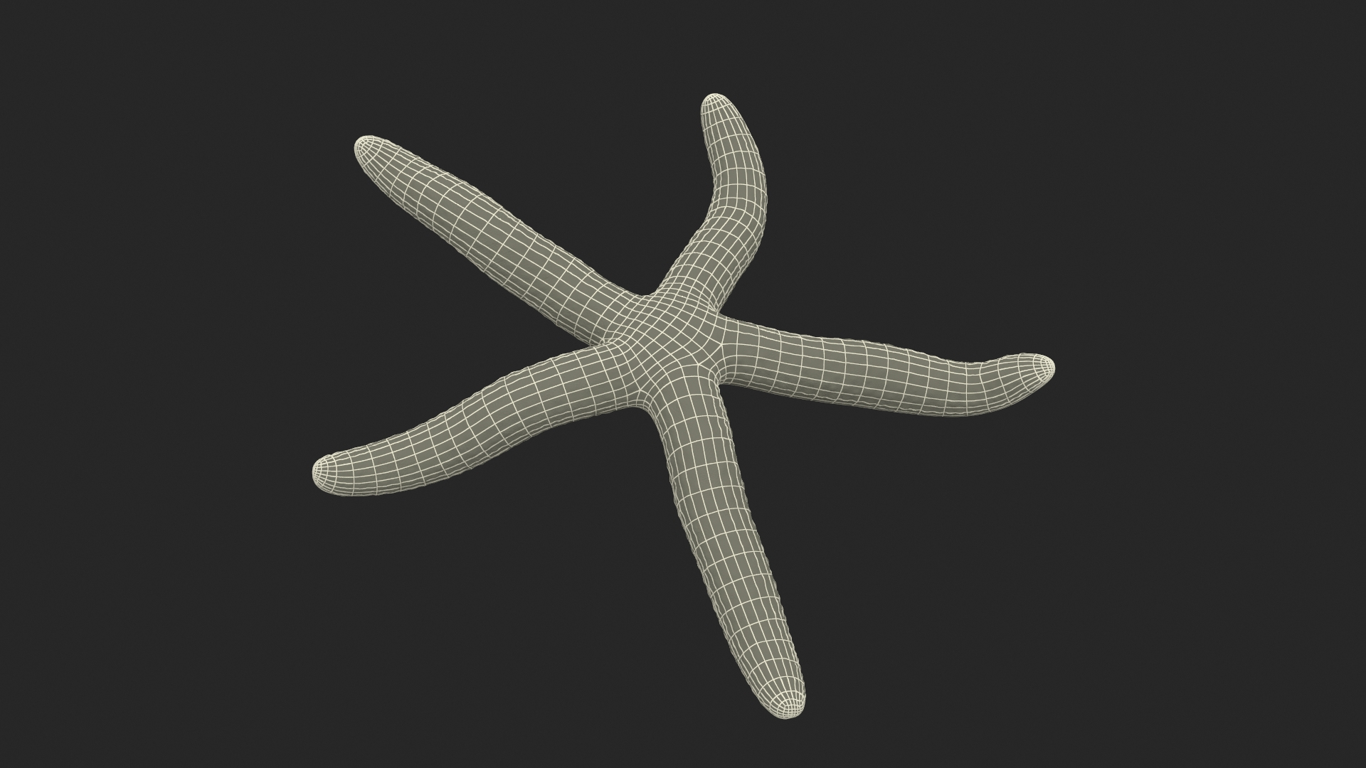 Echinaster Sepositus Crawling Pose 3D - TurboSquid 2223295