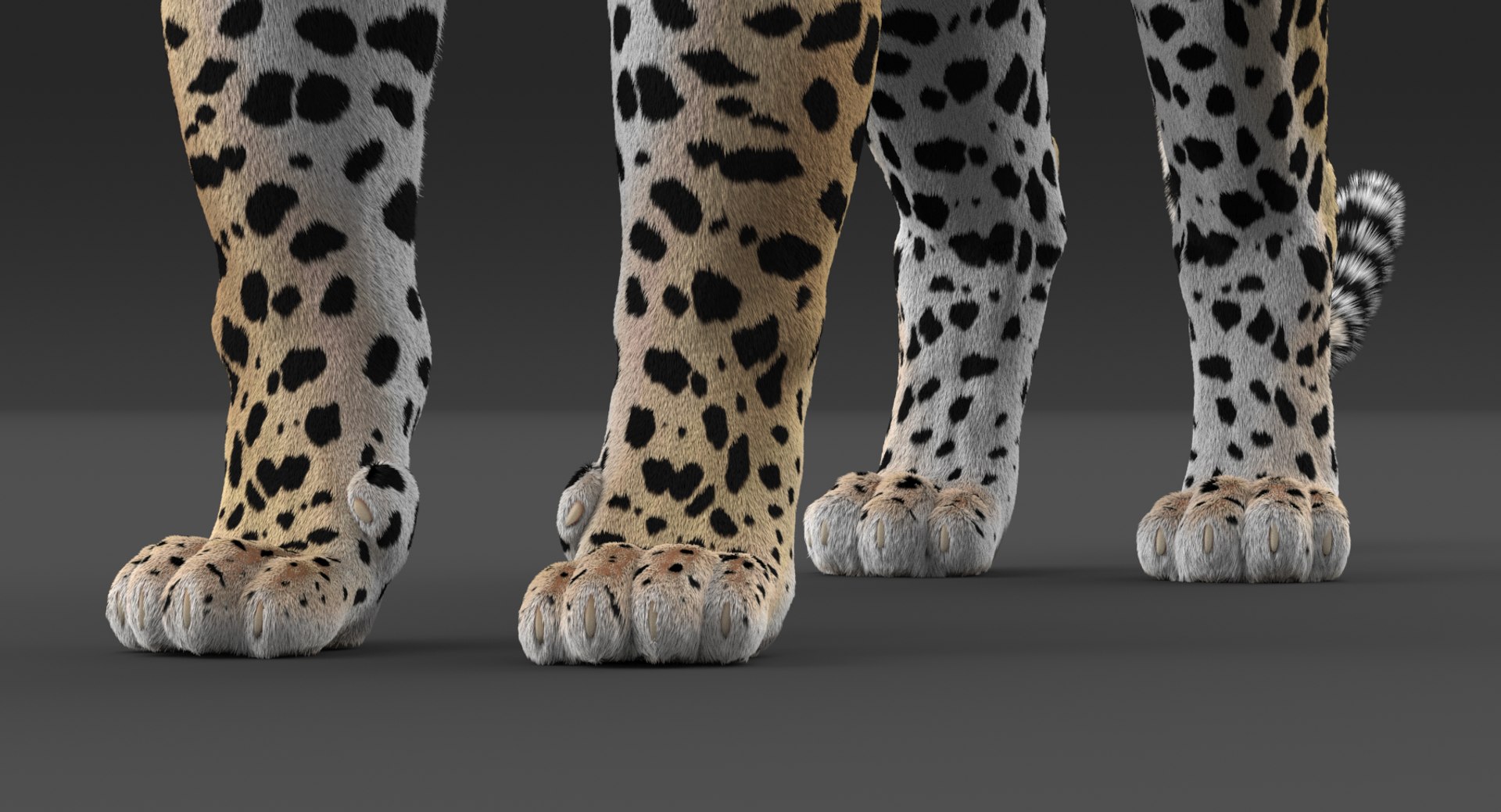 Leopard panther pack fur 3D model - TurboSquid 1460900