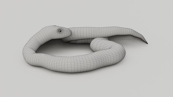 3D Python Snake - Low Poly - Game Ready - PBR - TurboSquid 1832687