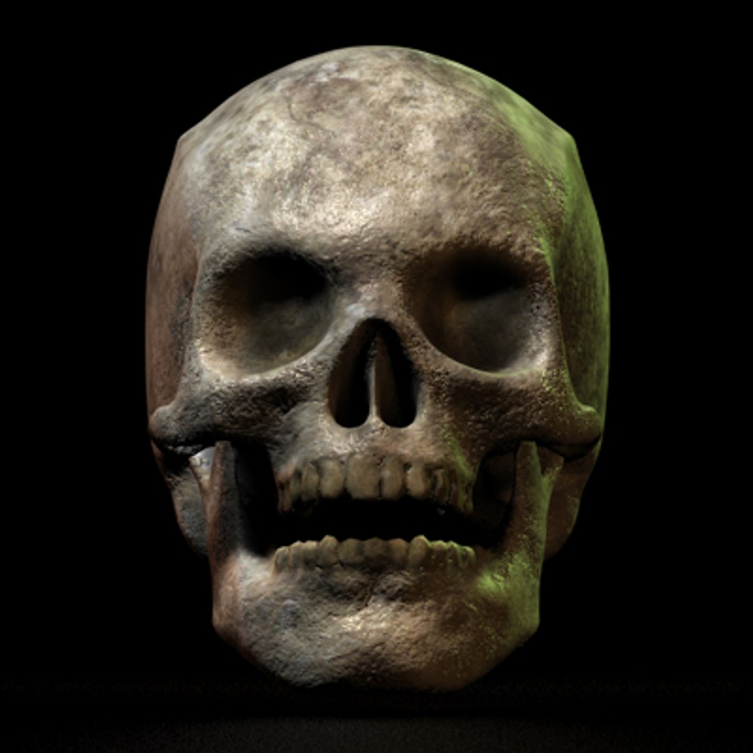 skull old 3d model