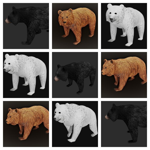 Bear Blender Models for Download | TurboSquid