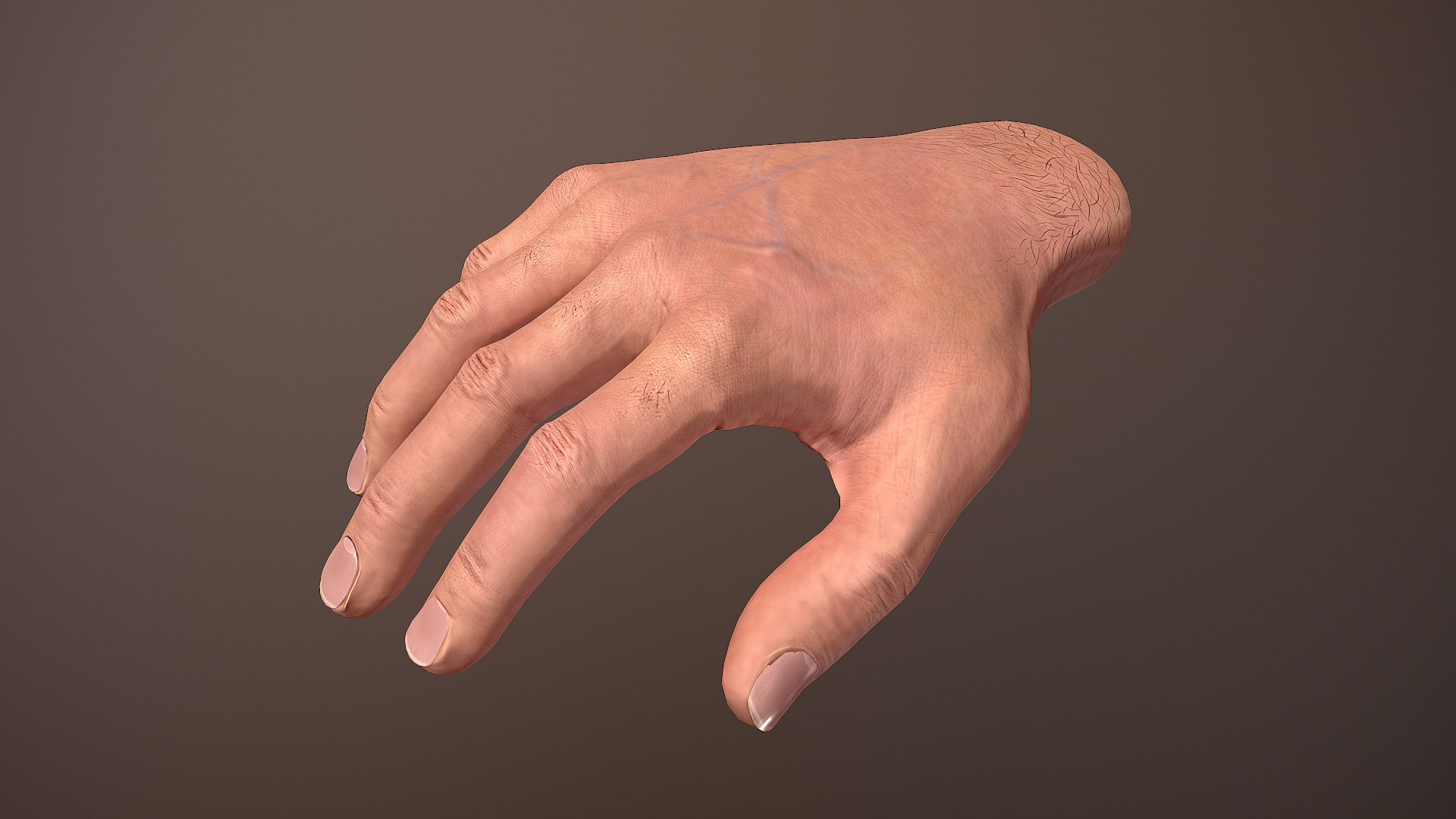 Male Hand 3D Model - TurboSquid 1350715