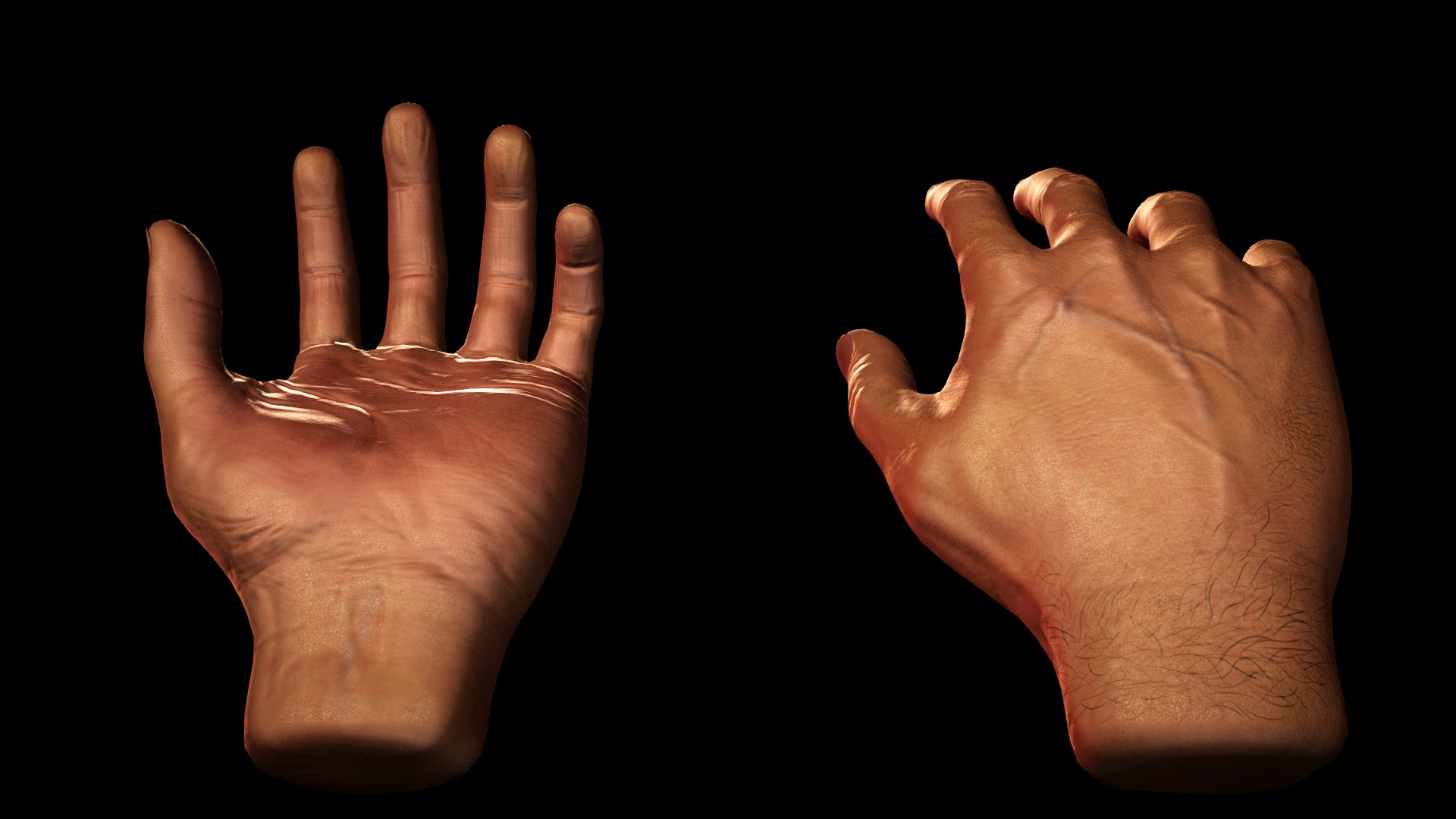 Male Hand 3D Model - TurboSquid 1350715