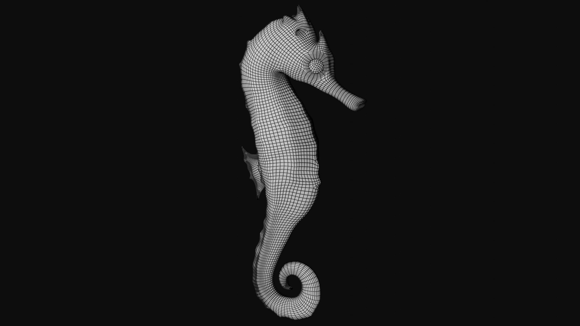 Fully Rigged Low Poly Seahorse 3D Model - TurboSquid 1757847