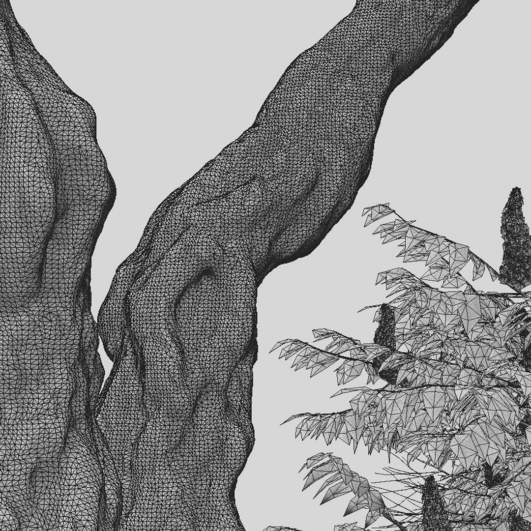 Set Of Rhus Typhina Or Staghorn Sumac Tree - 2 Trees 3D Model ...