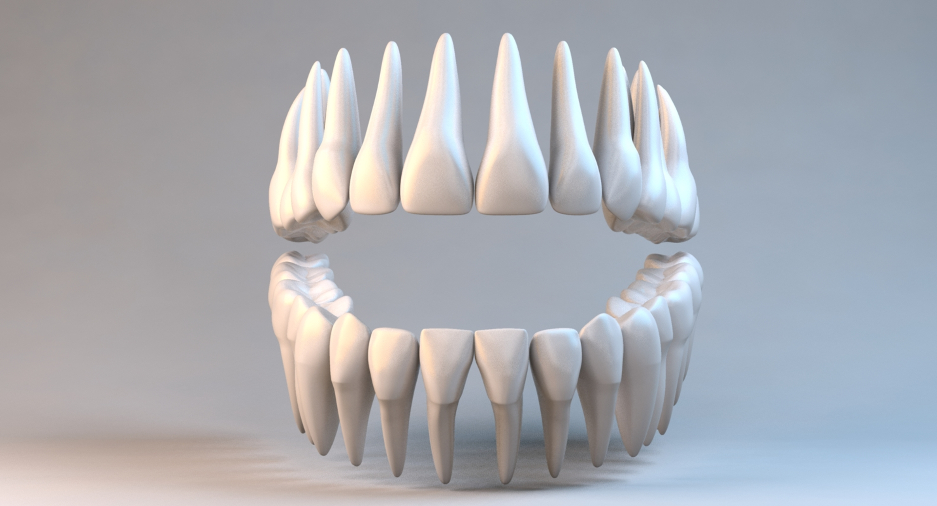 Maya Teeth Realistic